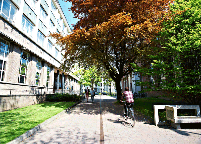 Net Zero Universities: Decarbonising heat on and off campus | EM Magazine